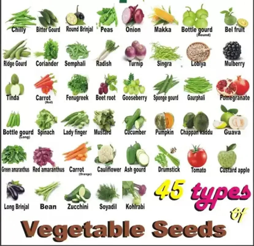 45 Vegetable Combo Pack -Vegetable Seeds Combo – Royal Paradise Garden